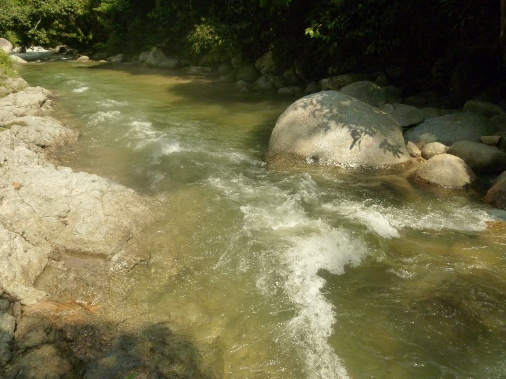 Water Quality Monitoring Archives – Pakar Scieno TW Sdn Bhd